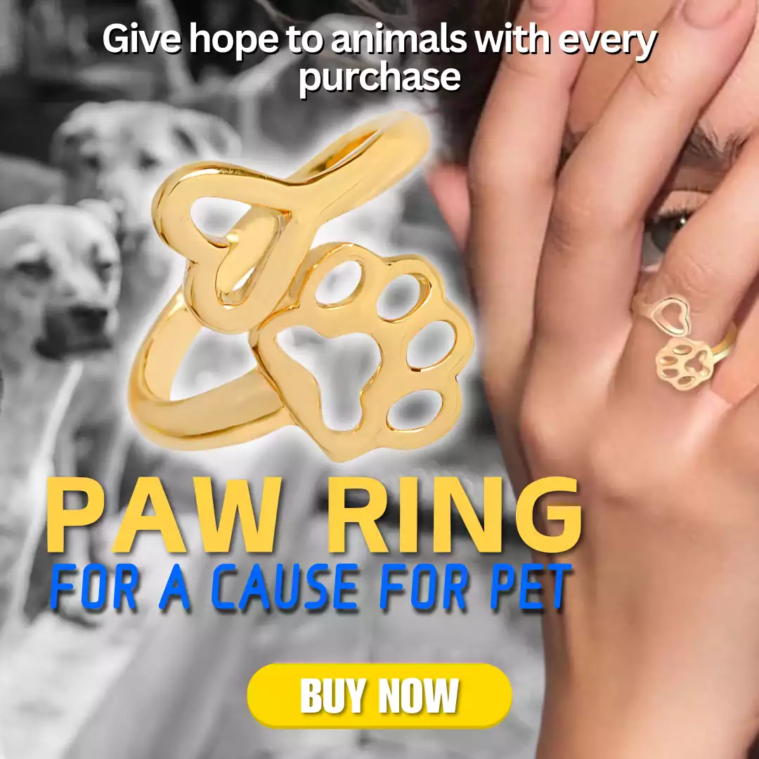 Kindness for PAWS