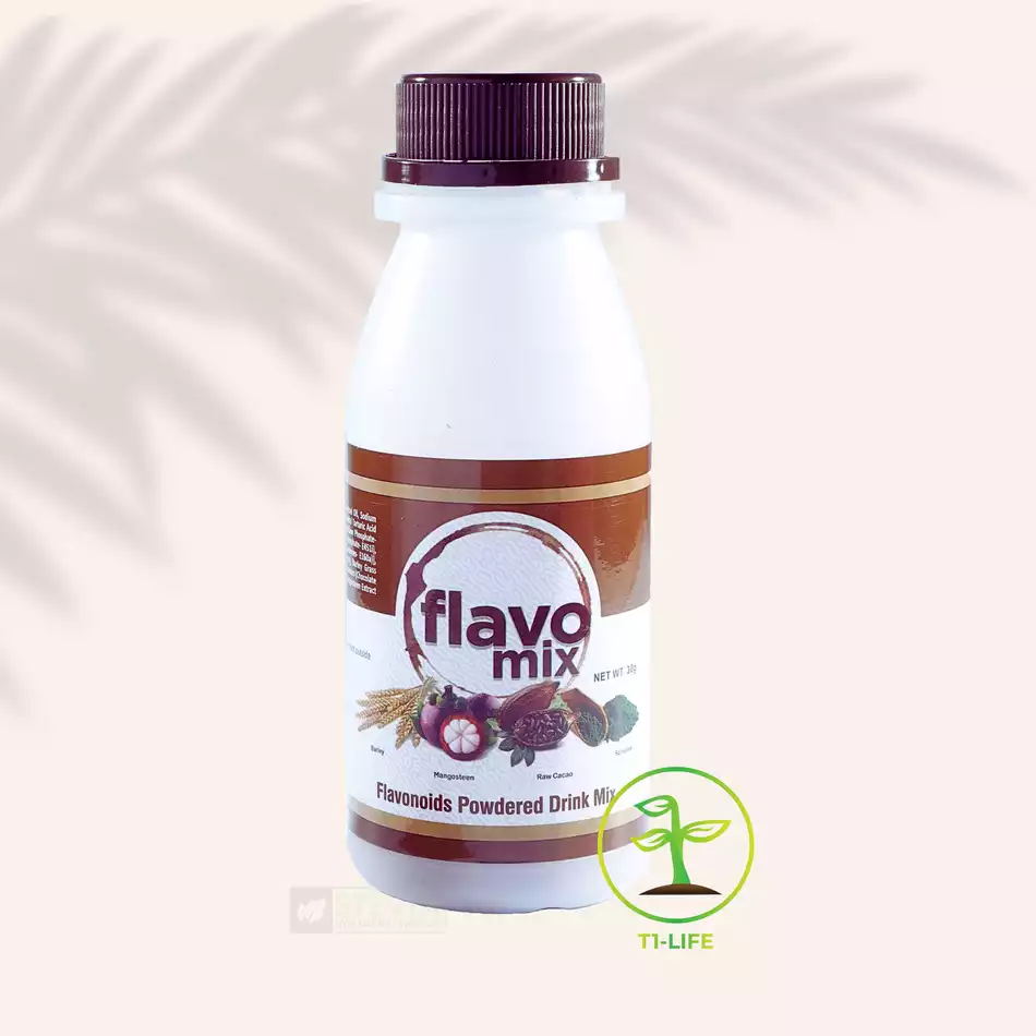 Flavo Mix Store Philippines