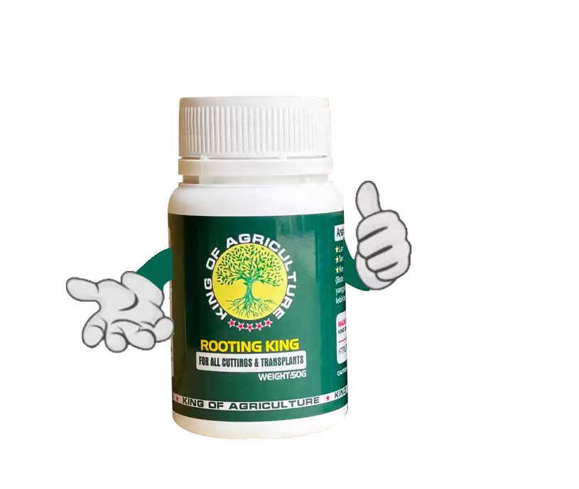 Rooting King Bio Fertilizer - 50% OFF