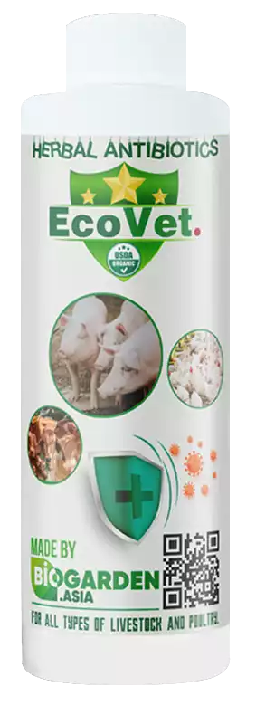 Ecovet-Antibiotik mikrob