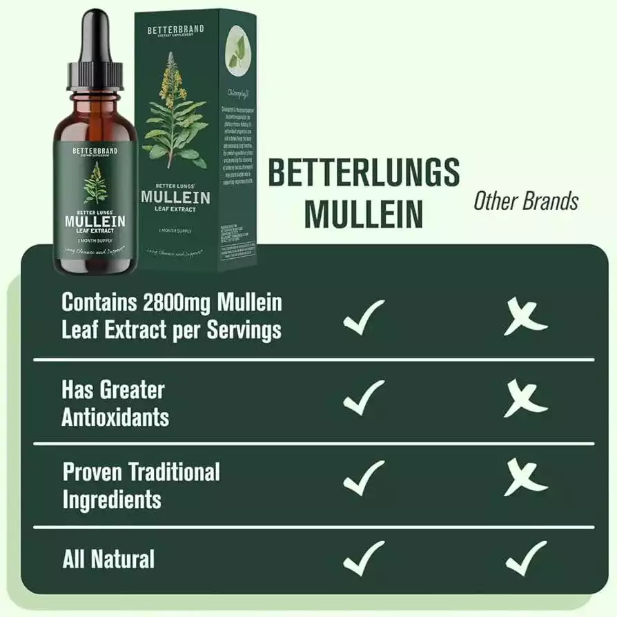 Mullein Extract