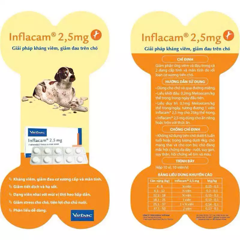 Inflacam | Đảo Mèo