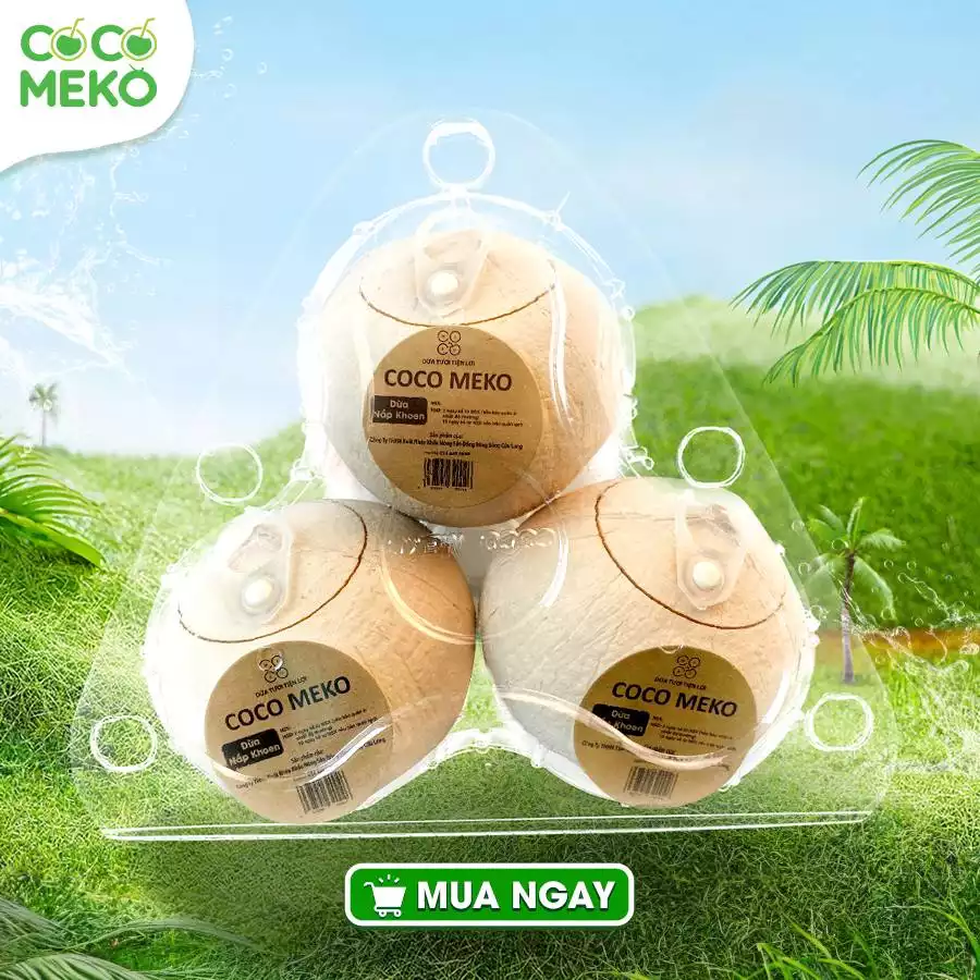 Plastic Box of 3 Eyelet Cap Coconuts | Coco Meko