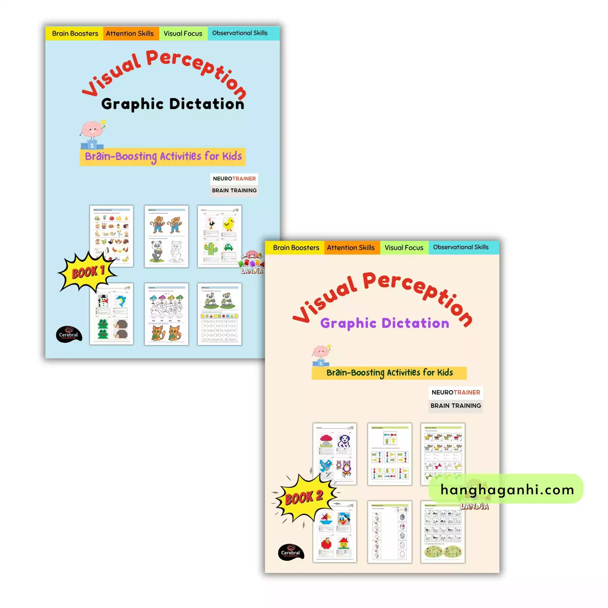 Visual Perception Graphic Dictation, Bộ 2 cuốn sách tư duy não phải ...