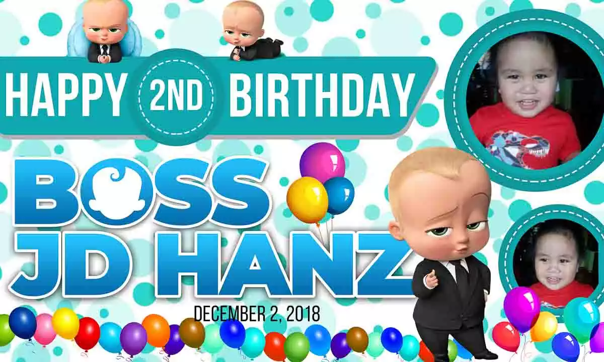 Baby Boss Theme Birthday Tarp | Vanex Advertising Store