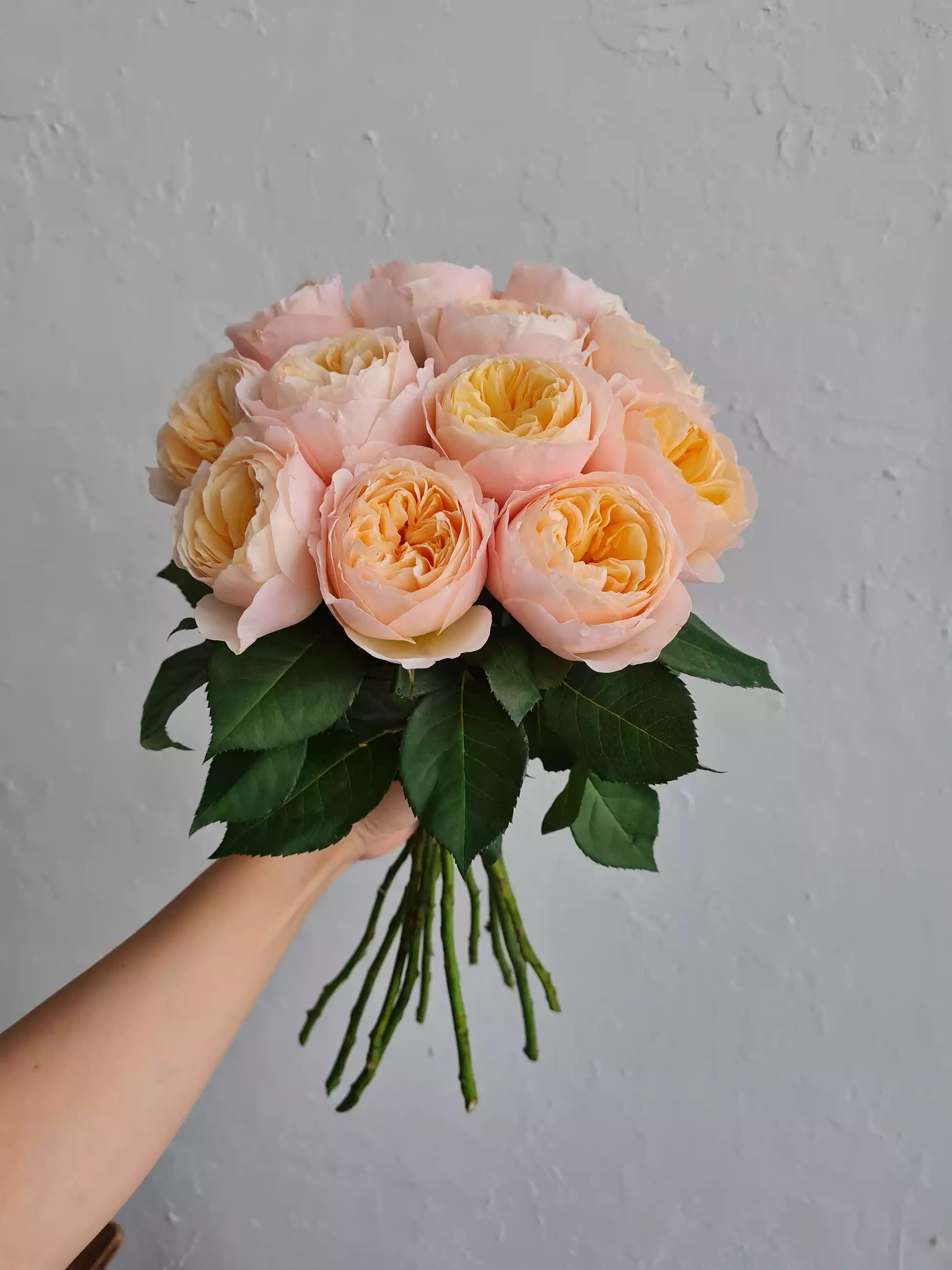 Hồng Juliet cam | Iris Florist - Tiệm hoa tươi