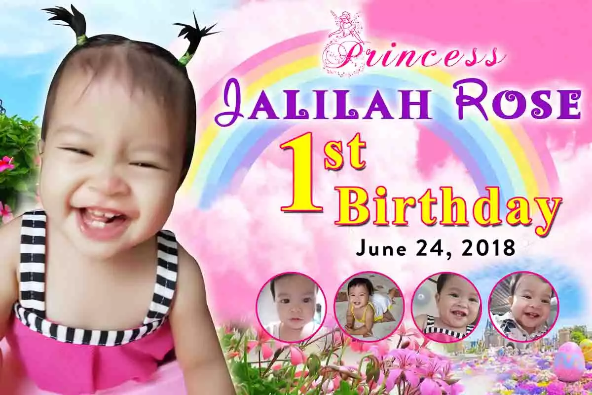 Baby Pink Theme Birthday Tarp | Vanex Advertising Store