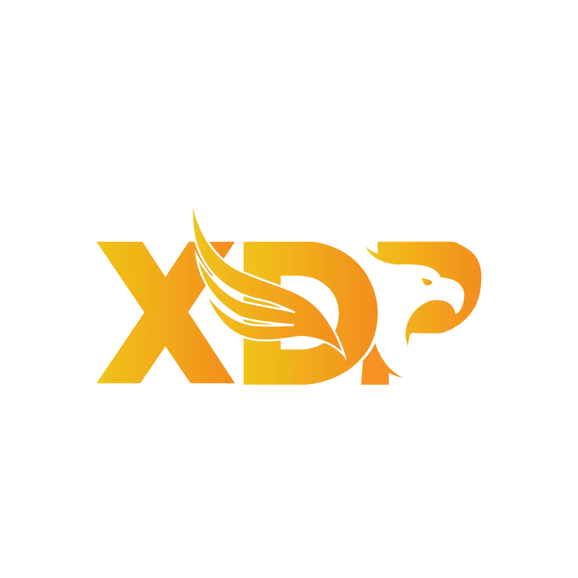 XDP GROUP