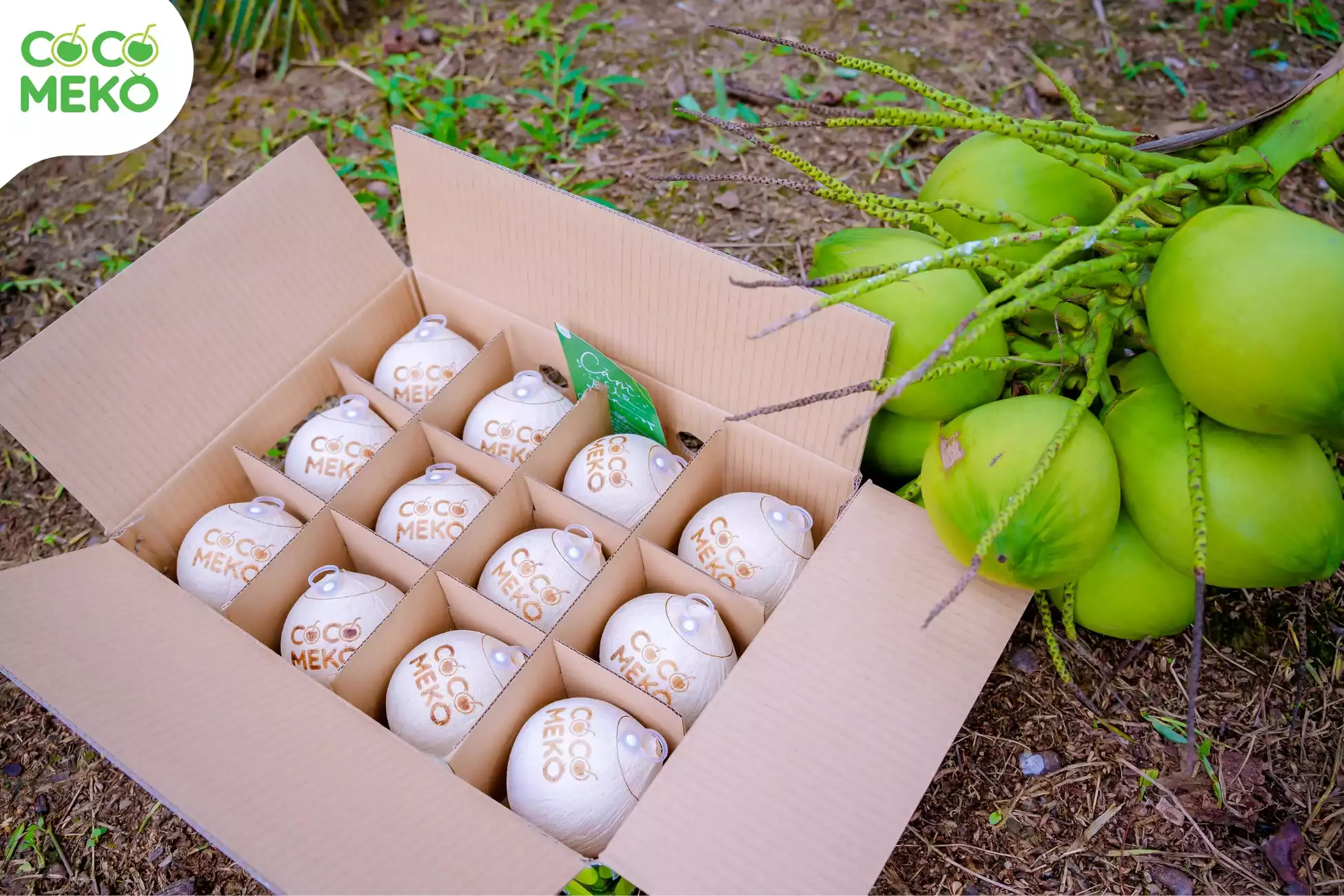 EYELET CAP COCONUT | Coco Meko