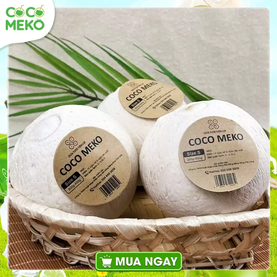 FRESH YOUNG COCONUT | Coco Meko