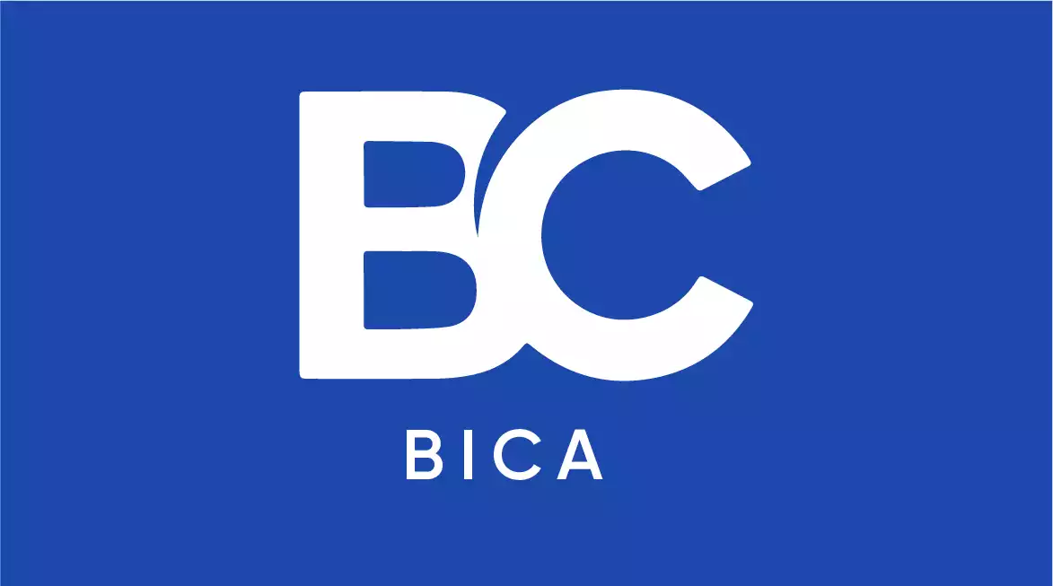 BICA COMPANY