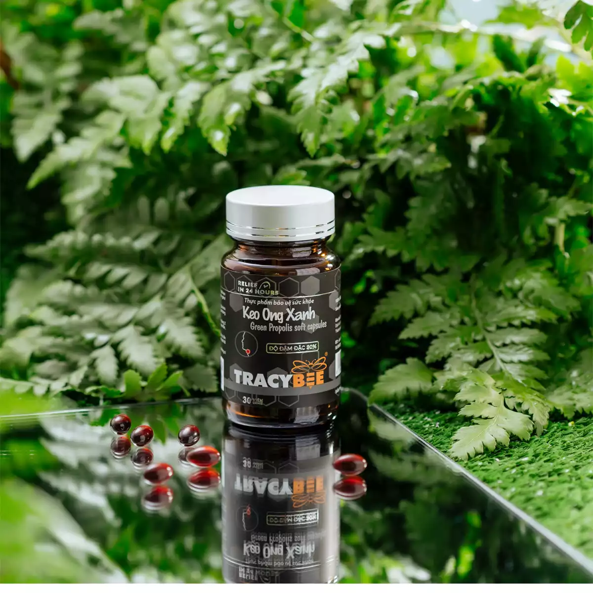 Mật Ong Tracybee | VietCanton