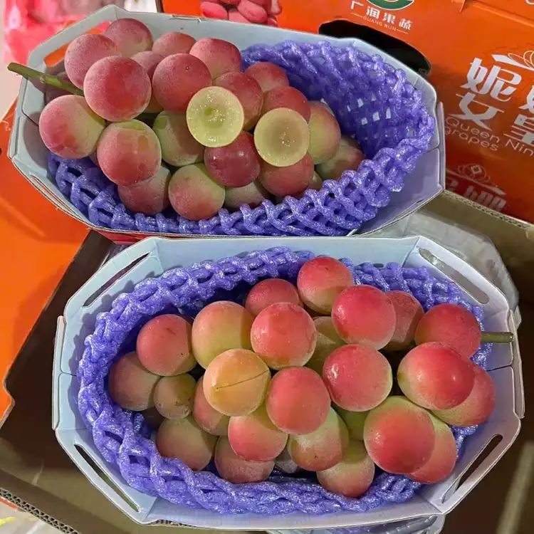 Nho Ruby Roman (Queen NiNa) | Hoangkhoifood