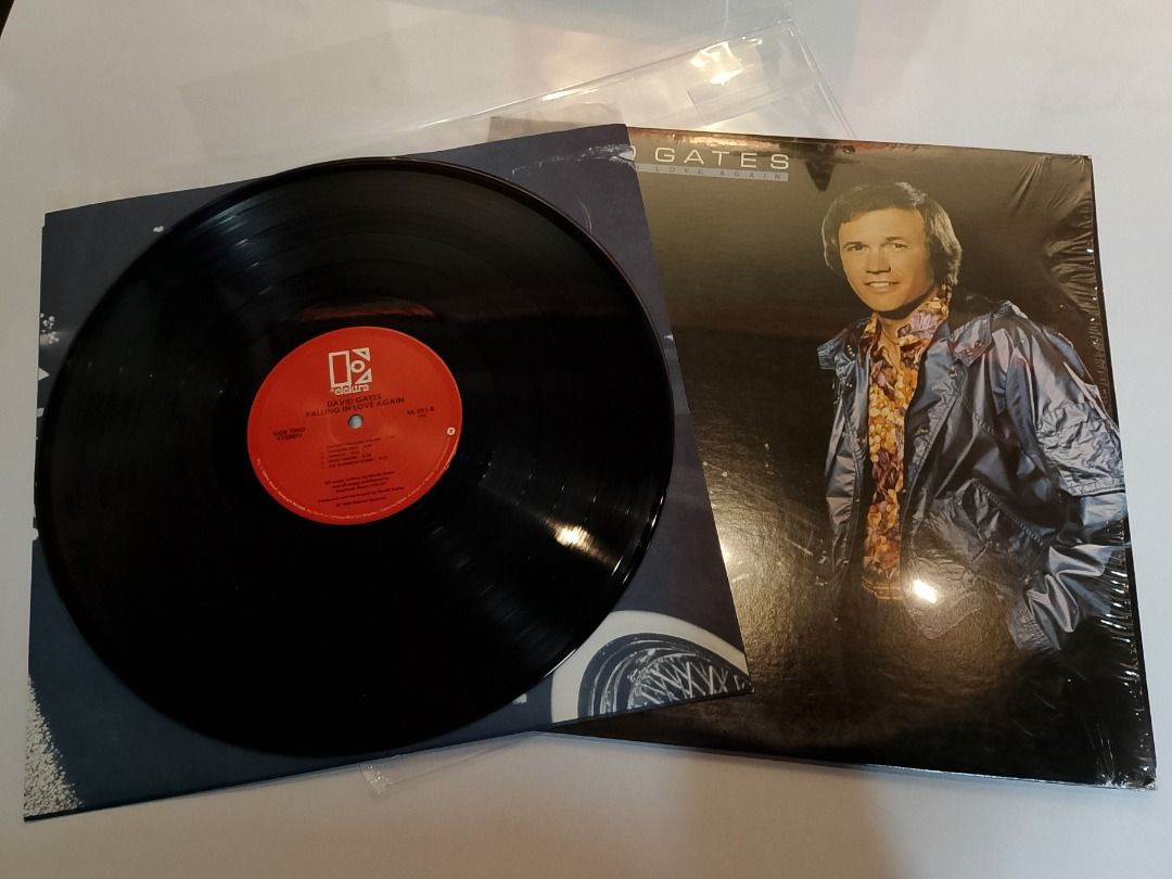 DAVID GATES - FALLING IN LOVE AGAIN | Spin City Vinyl