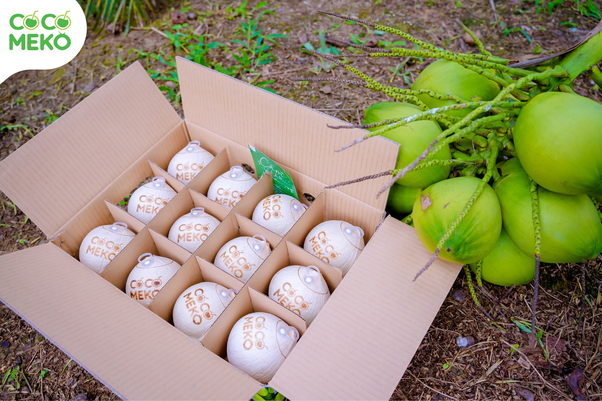 EYELET CAP COCONUT | Coco Meko