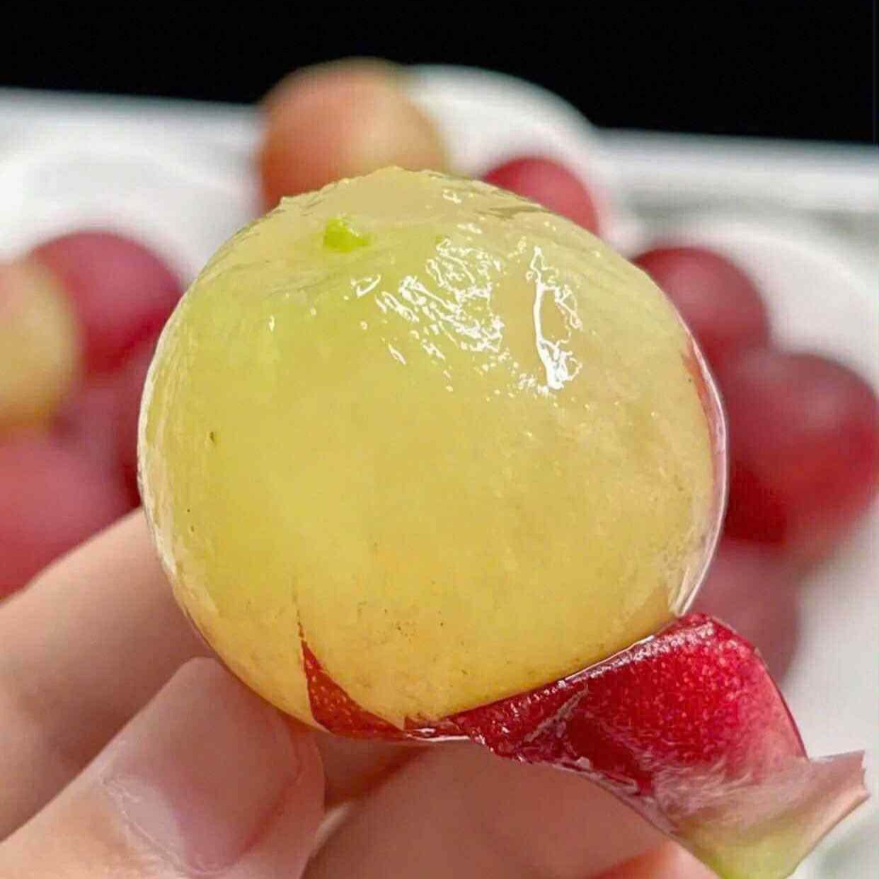 Nho Ruby Roman – Vua nho đỏ, ngọt thanh sang trọng