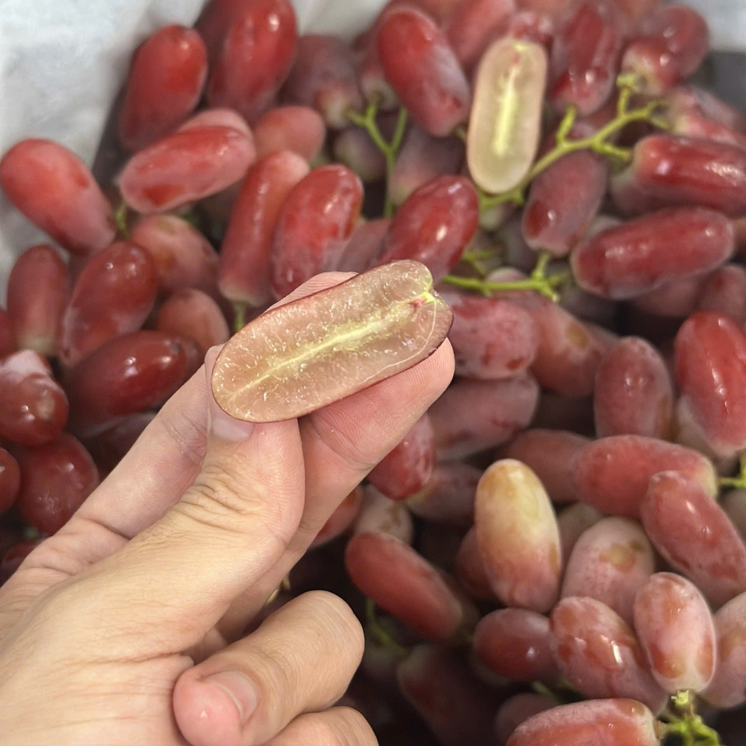 Nho Đỏ Long Crimson – Giòn Ngọt Tươi Ngon | Hoàng Khôi Food