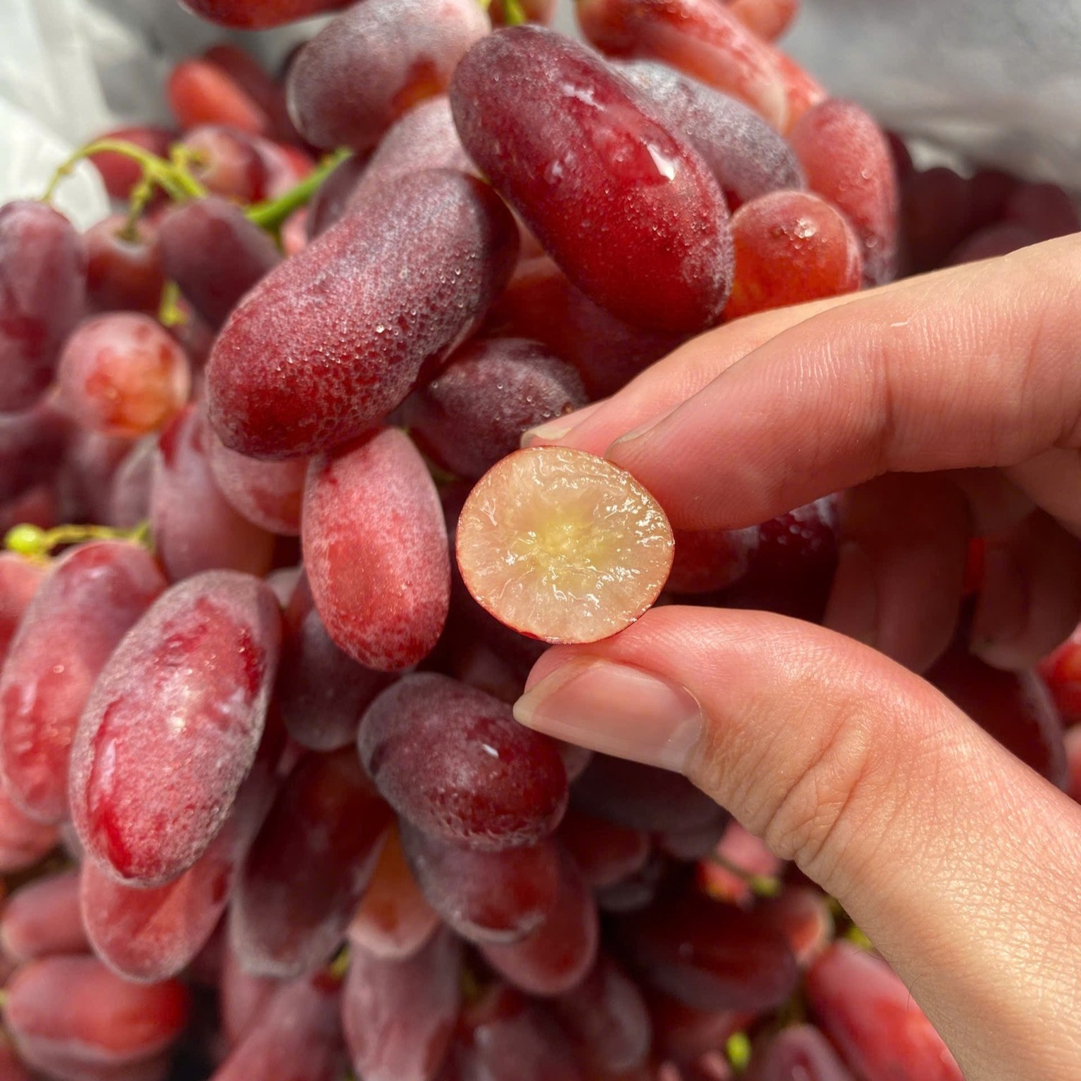 Nho Đỏ Long Crimson – Giòn Ngọt Tươi Ngon | Hoàng Khôi Food