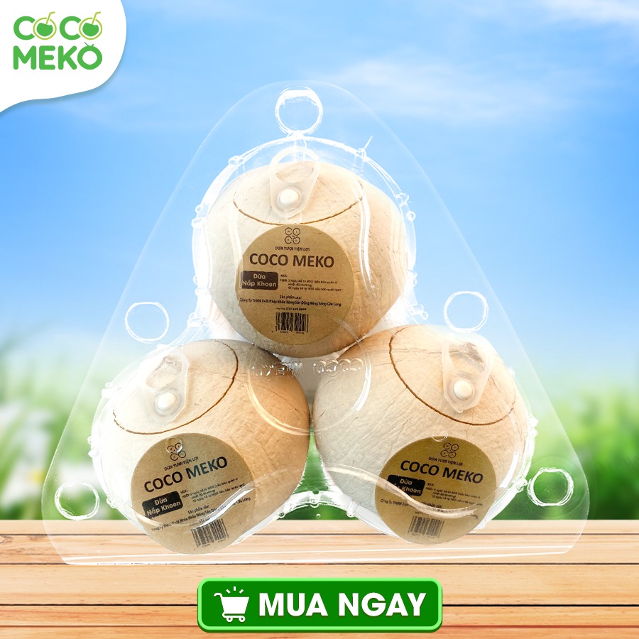 Plastic Box of 3 Eyelet Cap Coconuts | Coco Meko