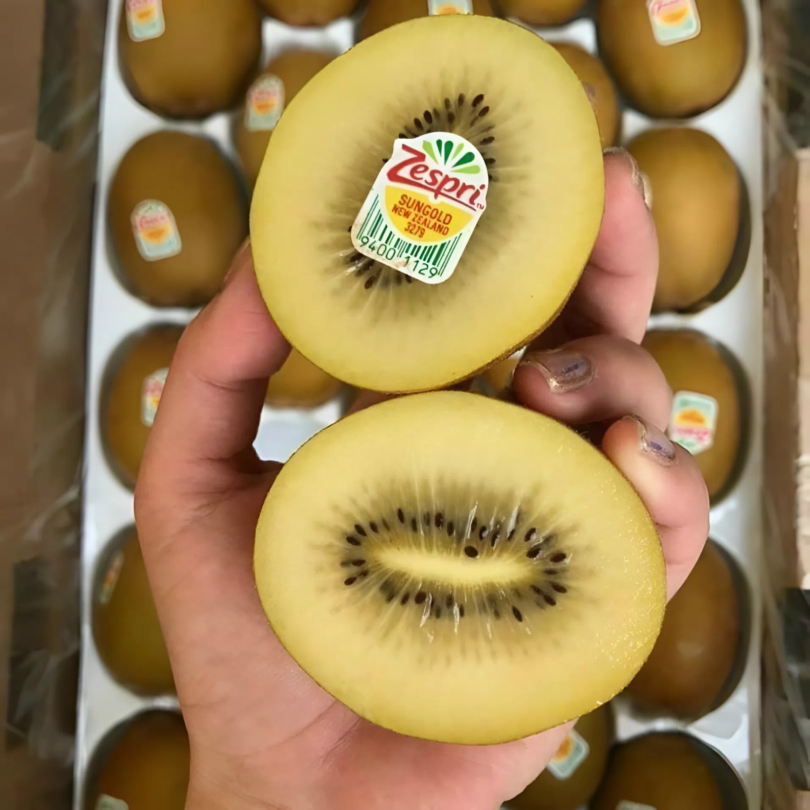 Kiwi vàng Zespri, Kiwi vàng New Zealand, Kiwi nhập khẩu, Trái cây Zespri